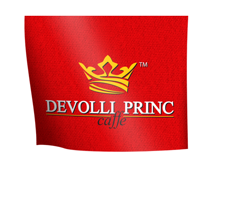 Devolli Corporation – Devolli Corporation