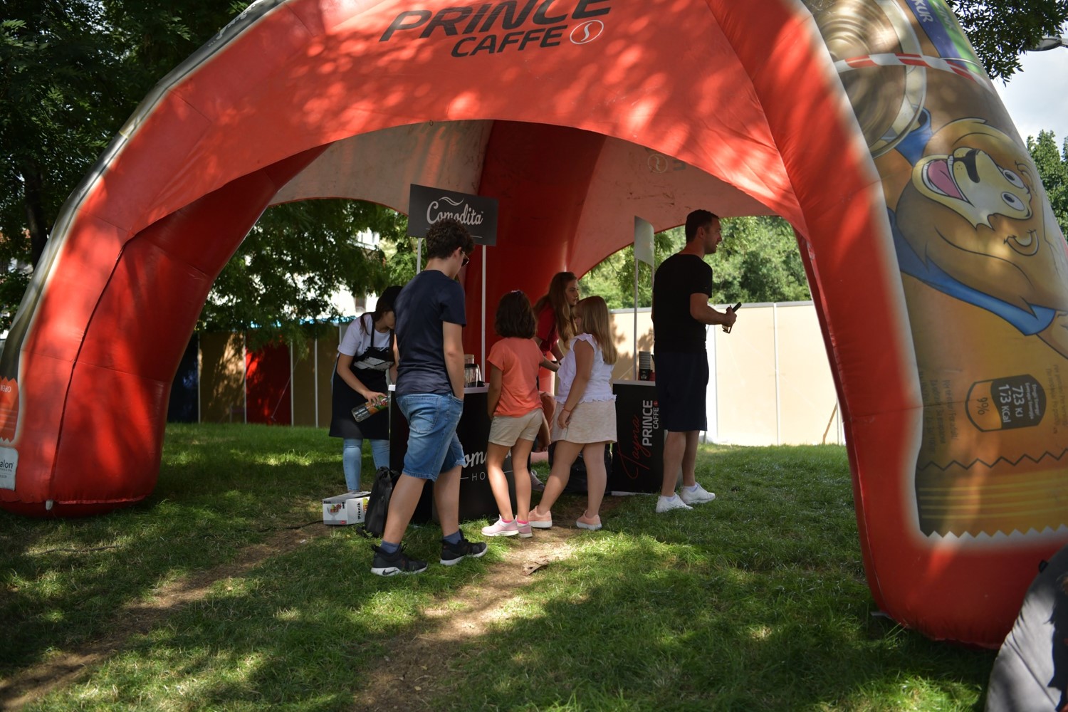 Gallery – Devolli Corporation