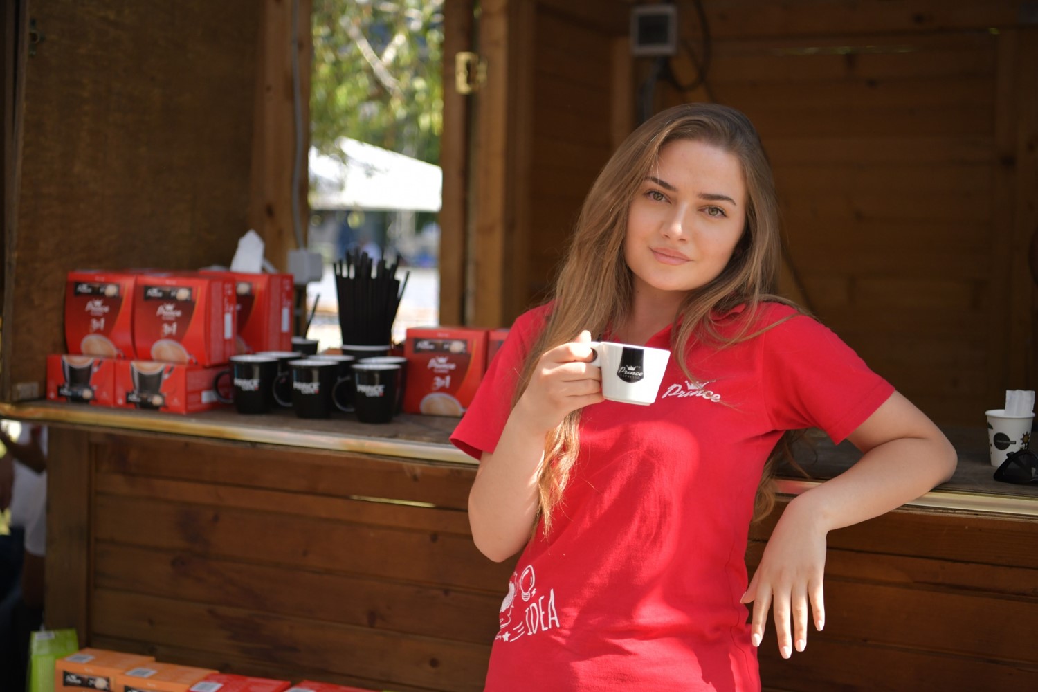 Gallery – Devolli Corporation