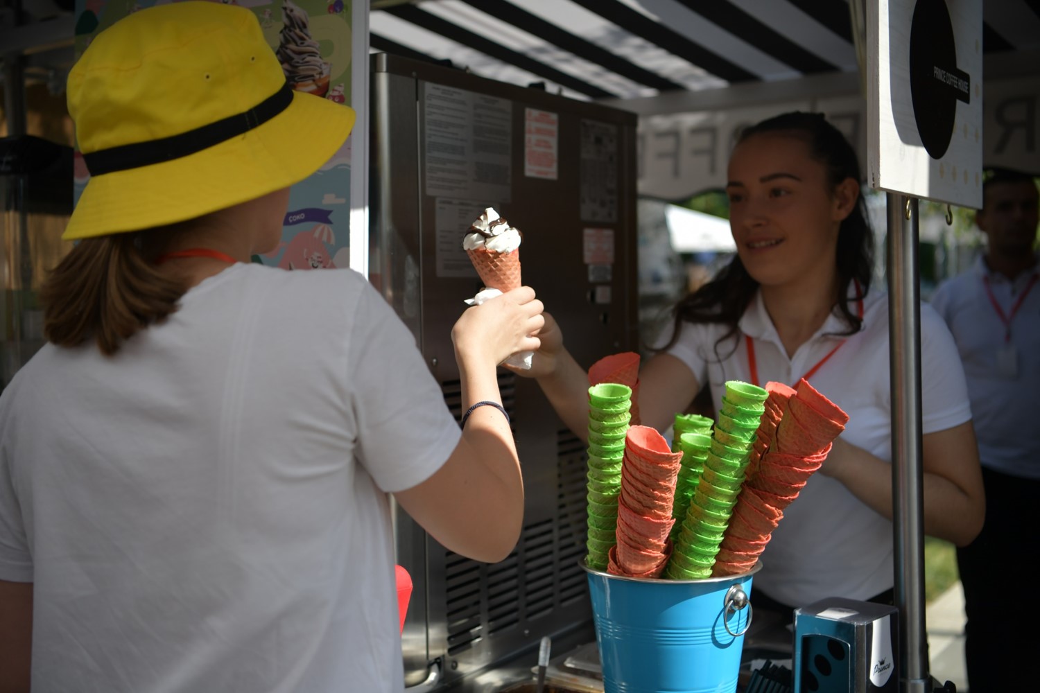 Gallery – Devolli Corporation